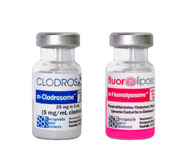 m-Fluorescent-Kit _png – Clodrosome: Liposomal Clodronate